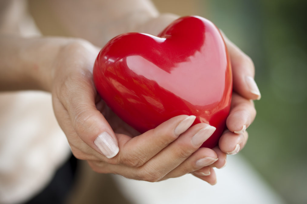 FAQ: How Are Organ Donation and Body Donation Different? - MedCure